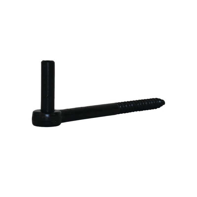 Gonds vis bois forgé - qualité professionnelle - Champion Direct