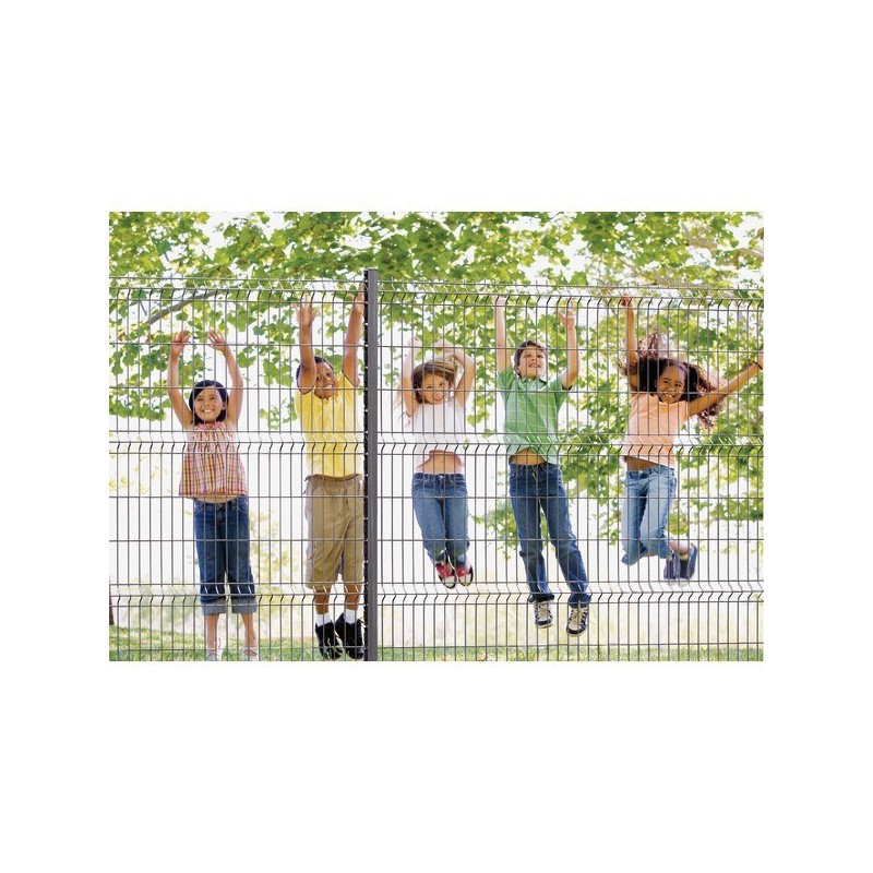 Panneaux HERCULES PLUS - qualité professionnelle - Champion Direct