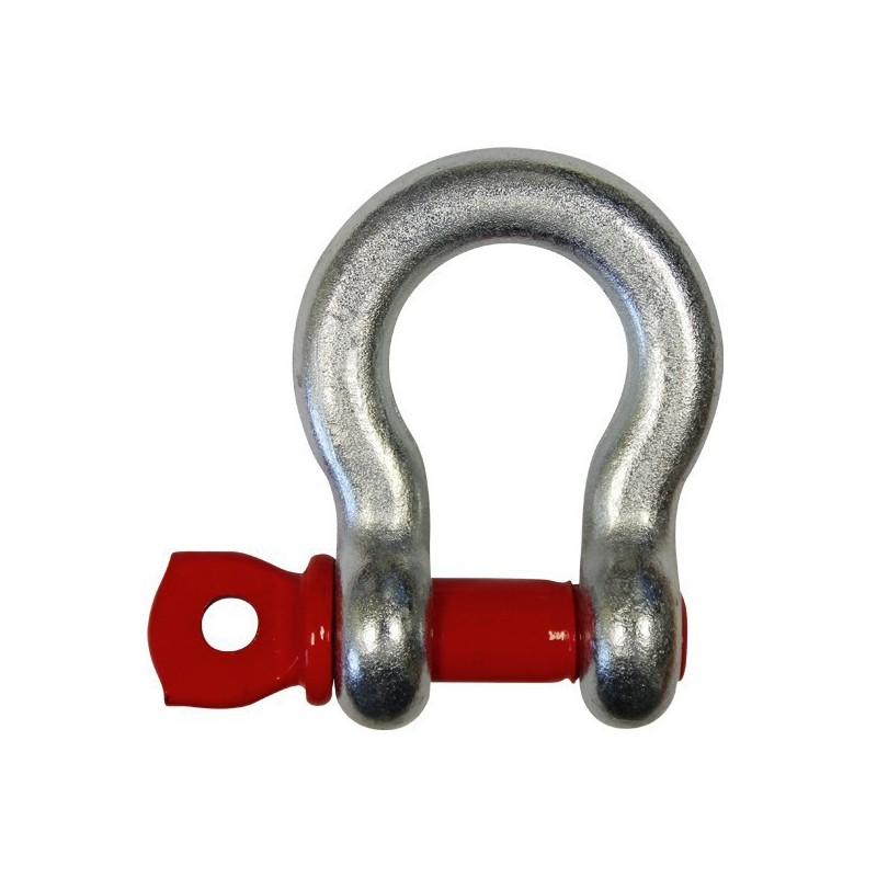 Manilles lyres acier haute résistance - qualité professionnelle - Champion Direct