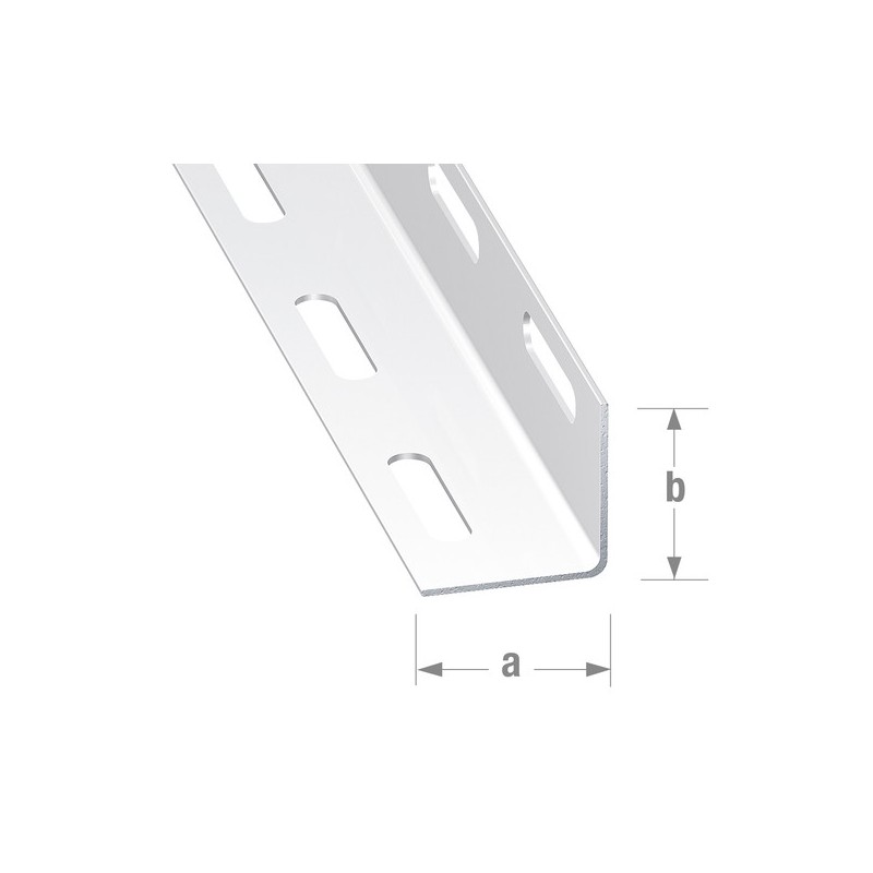 Cornière perforée acier profilé à froid - qualité professionnelle ...