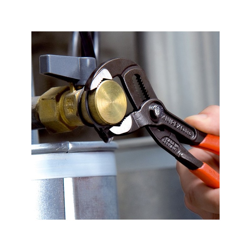Pince multiprise de pointe Cobra® - qualité professionnelle - Champion ...