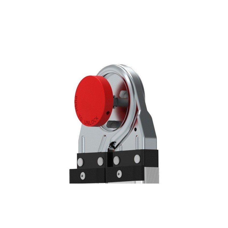 Echelle FLEX'UP - qualité professionnelle - Champion Direct